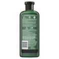 Herbal Essences Eucalyptus Sulfate Free Shampoo for Scalp, All Hair ...