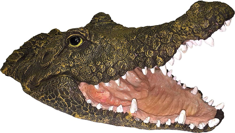 Dalen Water Decoy Floating Alligator Head-18" Long-Open Mouth - Walmart.com