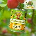 Treasure Trading Linstead Market Ackee, 19 oz - Walmart.com