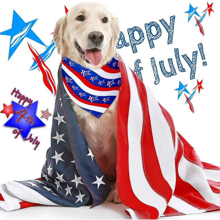 American Flag Puppy
