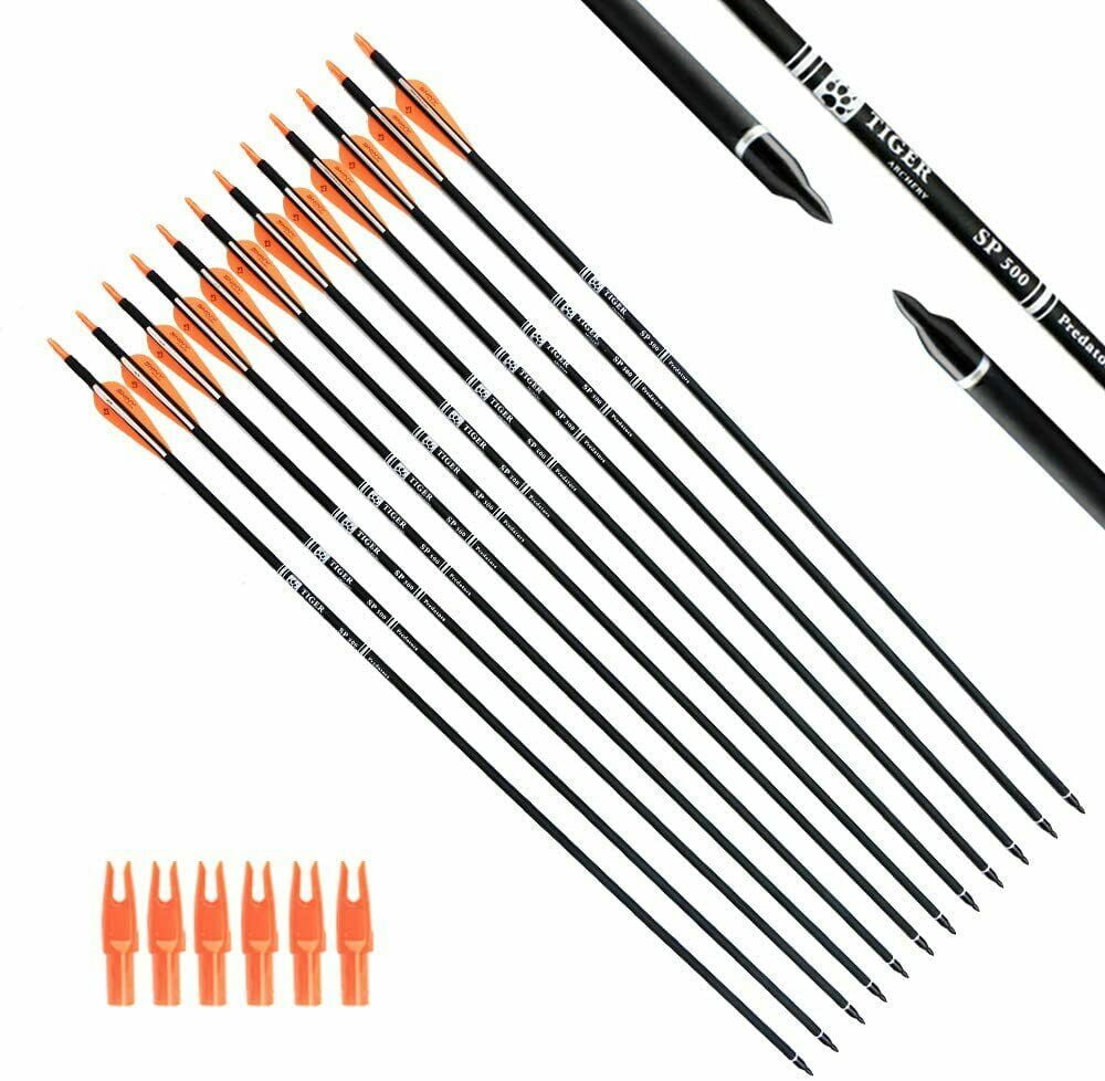 30" Archery Carbon Arrow Practice Hunting With Removable Tips for ...