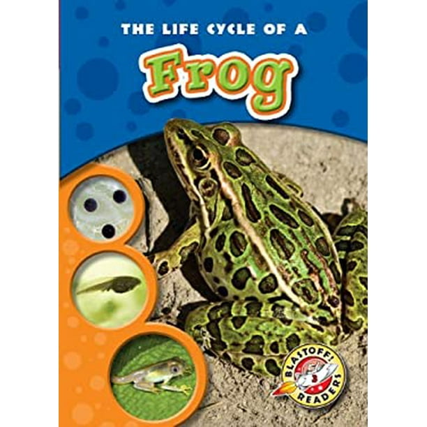 Life Cycle Frog
