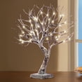 Collections Etc. Frosted LED Lighted Tabletop Tree Branches Decoration ...