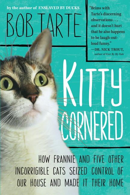 Kitty Cornered - Paperback - Walmart.com