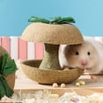 Apple Core Shaped Chew Toy for Hamsters and Rabbits, Natural Edible ...