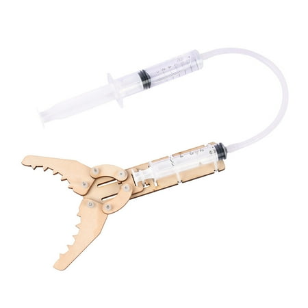 Crab Kingdom DIY Children Science Technology Experiments Classroom ...