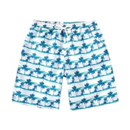 Tony Hawk Boys Swim Trunks 2 Pack Size 5-16 - Walmart.com