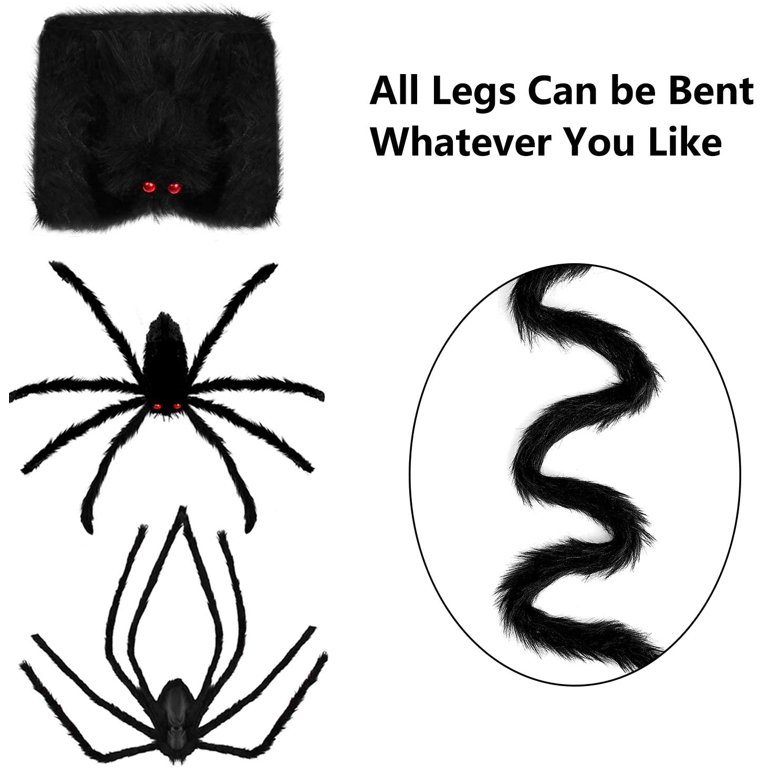 Giant Scary Spiders Memes