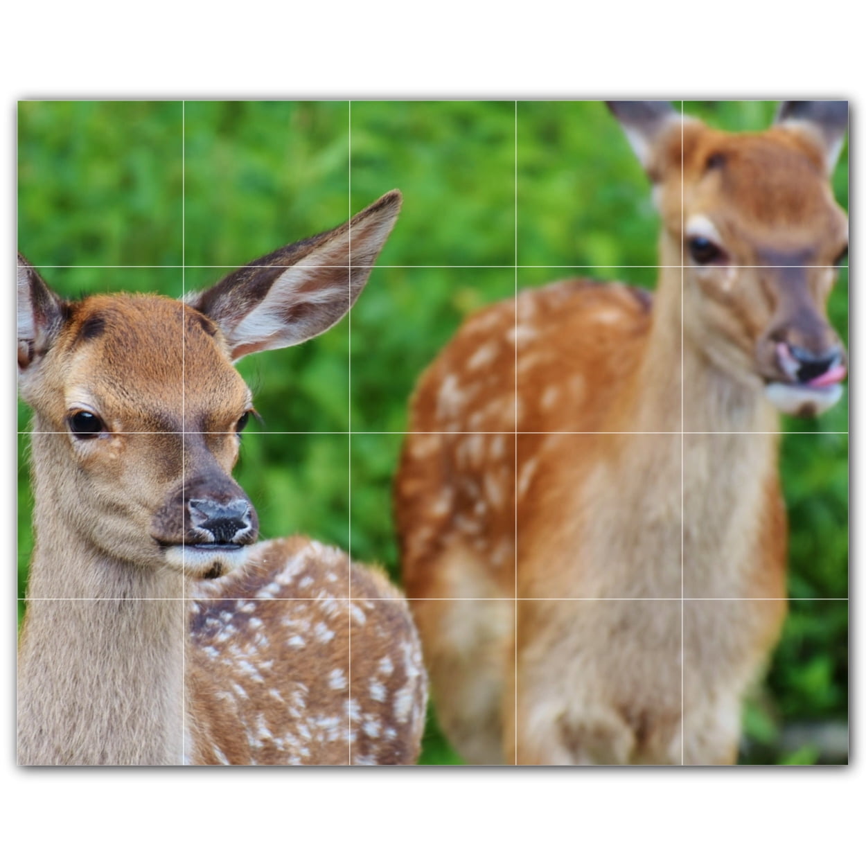 Picture-Tiles.com: Deer Ceramic Tile Wall Mural WAL500464-54XL. 60"W x ...