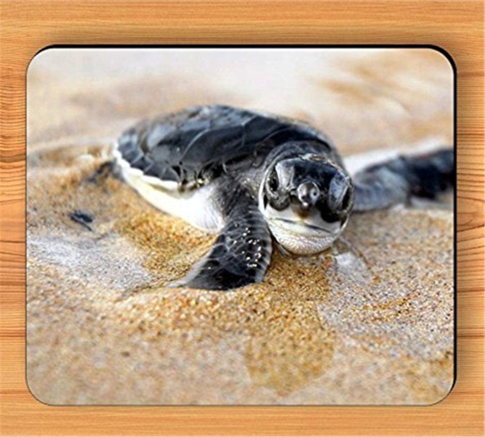 POPCreation BABY SEA TURTLE READY FOR FREE SEA LIFE Mouse pads Gaming ...