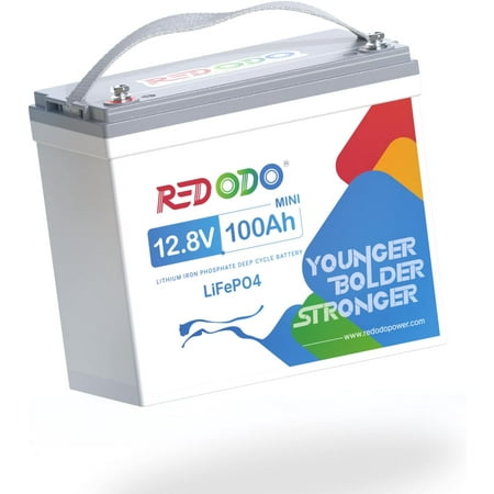 Redodo 12V 100Ah Mini LiFePO4 Lithium Battery with Small Size and Light ...