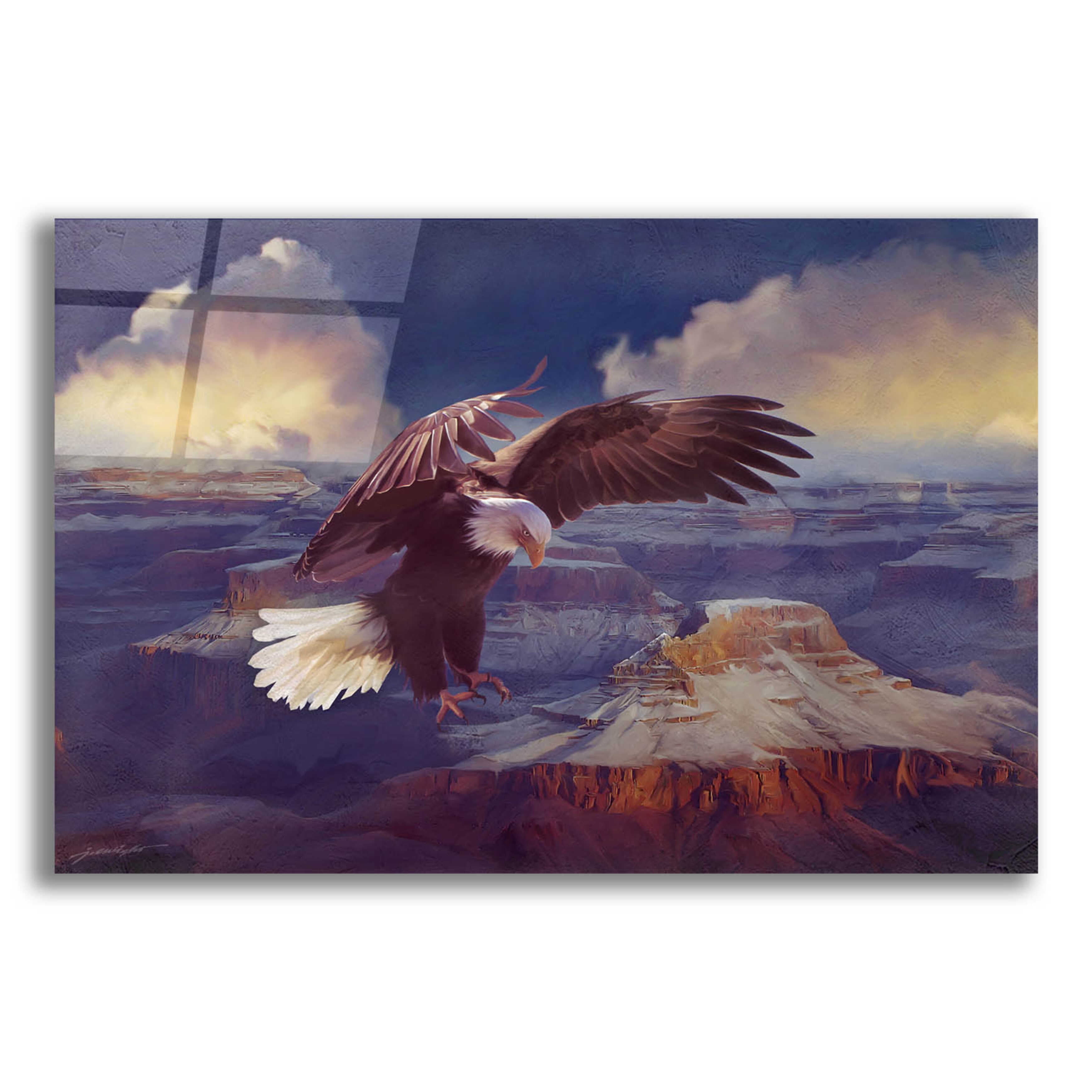 Epic Art 'Eternal Freedom Eagle' by Enright, Acrylic Glass Wall Art, 16 ...
