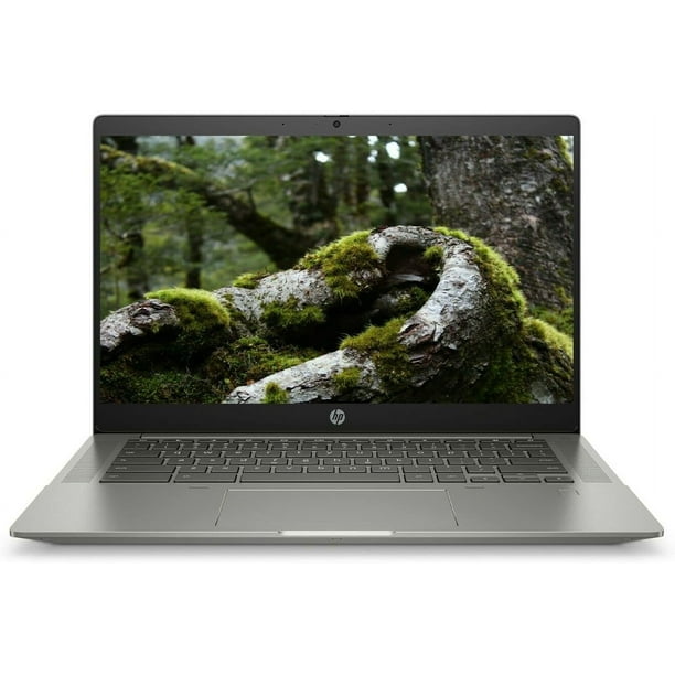 HP Chromebook 14 inch Full HD AMD Ryzen 3 3050C 4GB 128GB Chrome OS ...