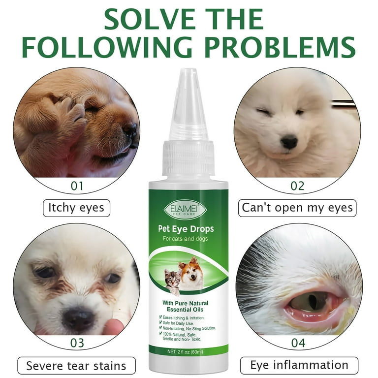 Dog Eye Drops For Eye Infection | ppgbbe.intranet.biologia.ufrj.br