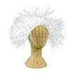 Shock Treatment Mad Scientist White Costume Wig - Walmart.com
