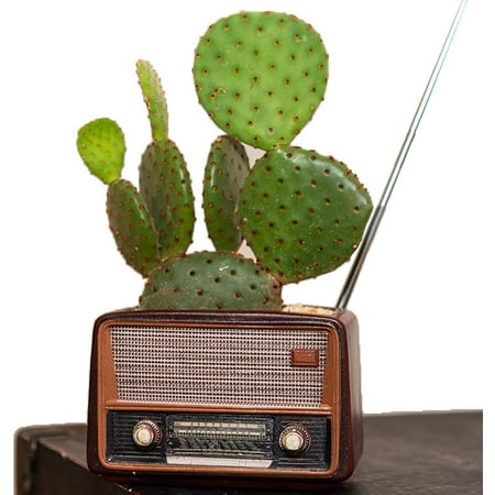 Retro Radio Flower Pot Succulent Pots with Drainage Hole Resin ...