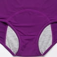 4pcs Womens Leakproof Panties Plus Size Incontinence Sexy Briefs