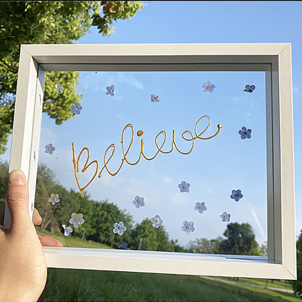 CSCHome Glass Photo Frames, Specimen Display Frames, Double-Sided Glass ...