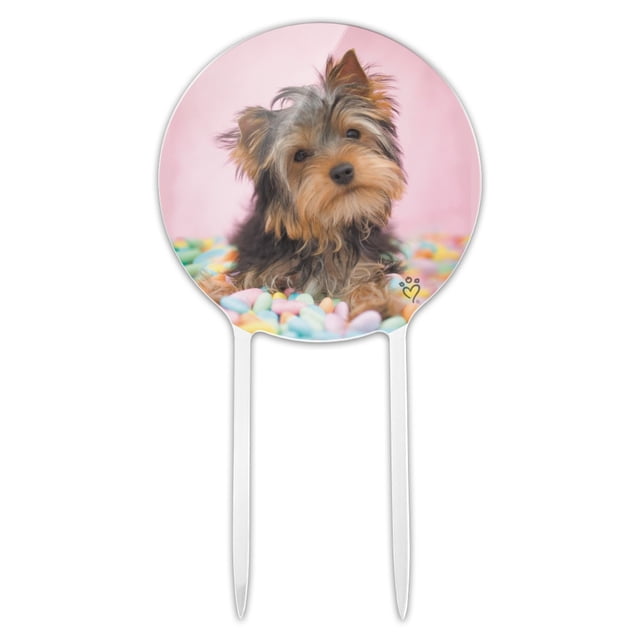 Acrylic Yorkie Yorkshire Terrier Dog Candy Eggs Easter Cake Topper ...