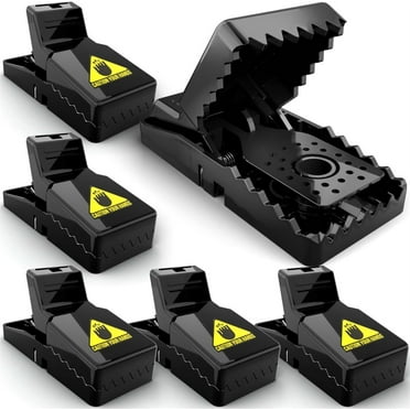 Feeke Mouse Traps, Mice Traps for House, Small Mice Trap Indoor Quick ...