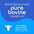 Zena Nutrition Colostrum Powder 2000mg Unflavored Gluten-Free for ...