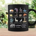 Animals Of The World Rare Exotic Animals Memes Coffee Mugs - Walmart.com