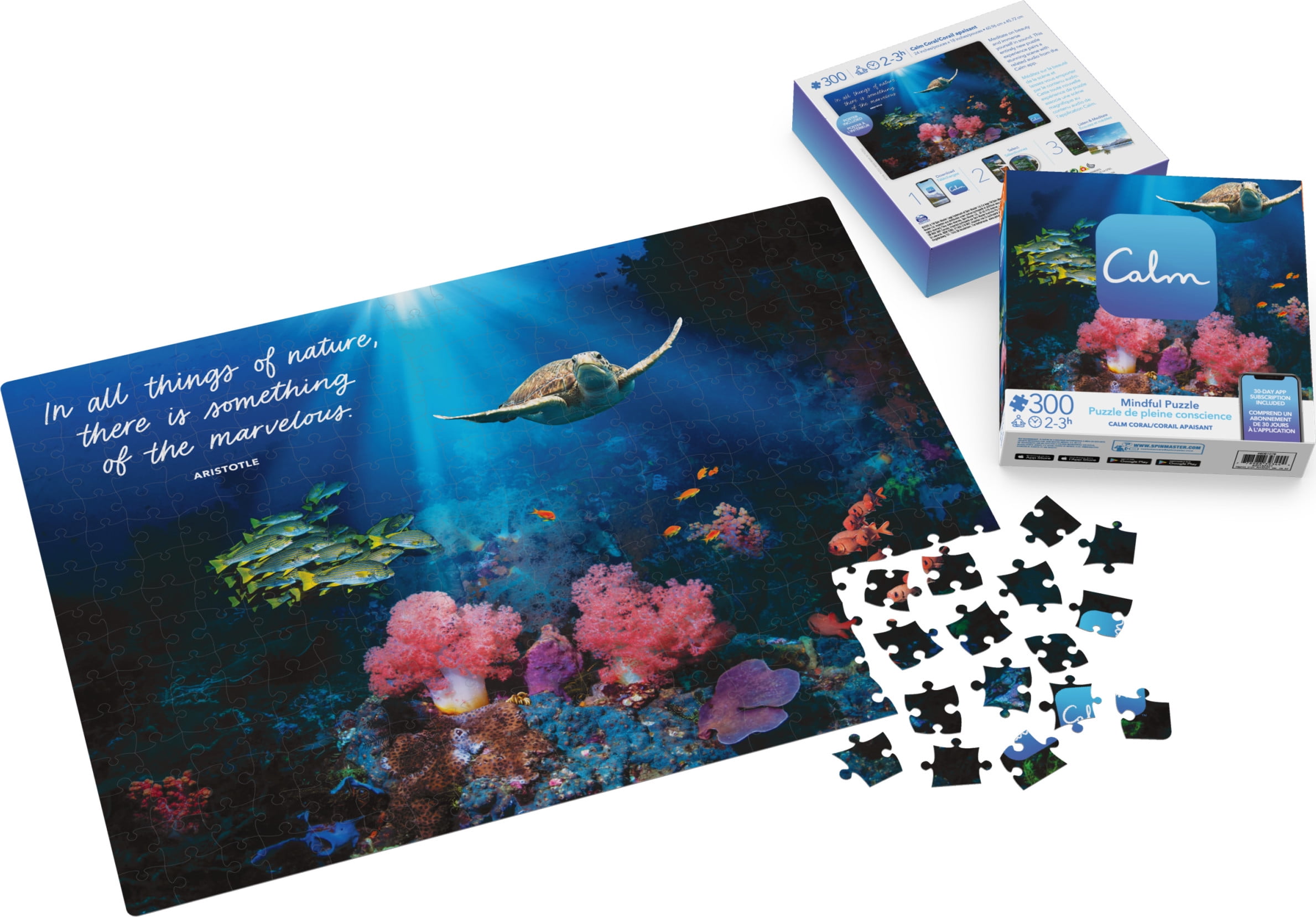 300-Piece Calm Jigsaw Puzzle for Stress Relief, Calm Coral - Walmart ...