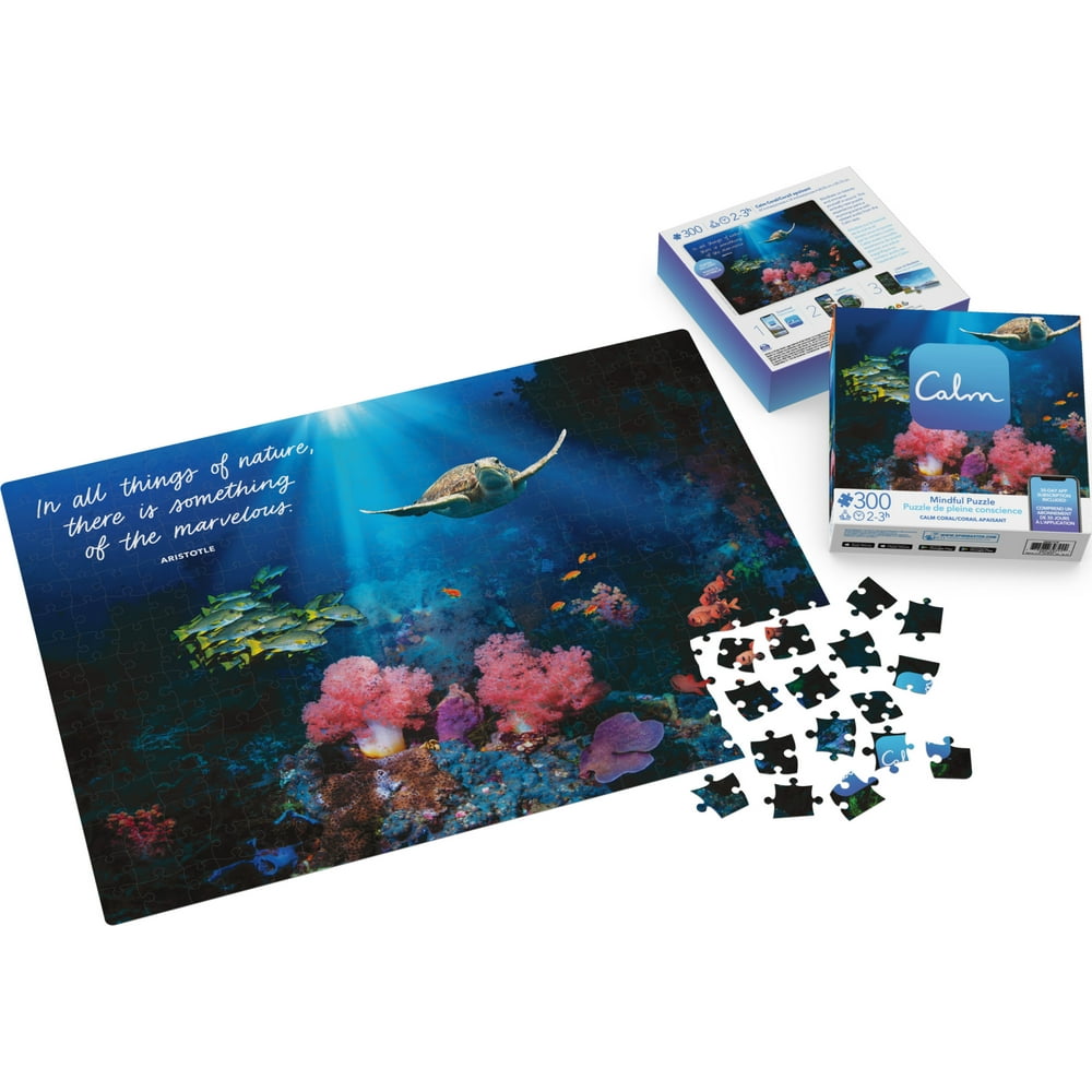 300-Piece Calm Jigsaw Puzzle for Stress Relief, Calm Coral - Walmart ...