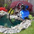 1.6HP Shallow Well Pump with Pressure Tank, Irrigation Pump,Automatic ...