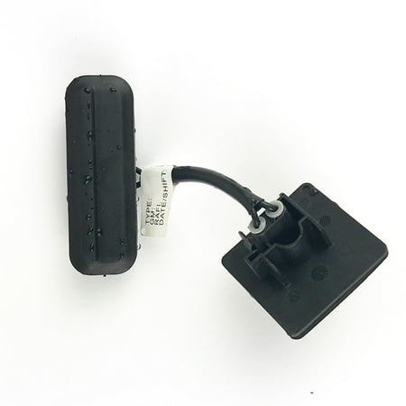 Dinohhi Le Couvercle du Coffre du Coffre du Coffre HAYGATE ...