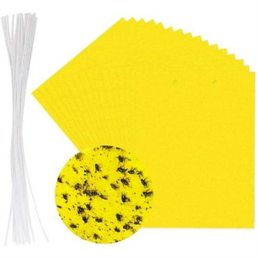 Tissouoy Sticky Traps - 20 Pieces Fly Paper Stickers for Indoor House ...