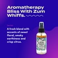 ZUM Mist Room & Body Spray, Sea Salt Fragrance, 4 oz - Walmart.com