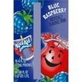 Kool-Aid, Drink Pouches, Blue Raspberry Flavored, 6 fl oz 10 Ct Pack ...
