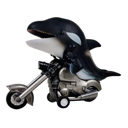 Light Blue Dolphin And Dark Blue Dolphin Inertial Motorcycle Simulation ...