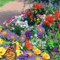 Roll Out Butterfly & Bee Flower Garden Mat - Walmart.com