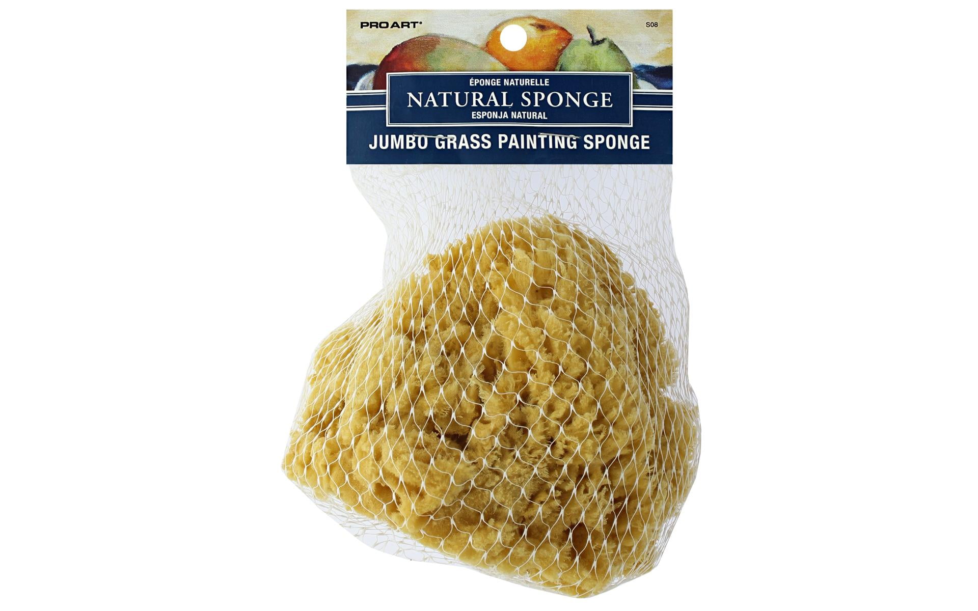 Pro Art Sponge Natural Grass #1 Large - Walmart.com