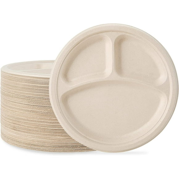 Chinet Compartment Paper Plates