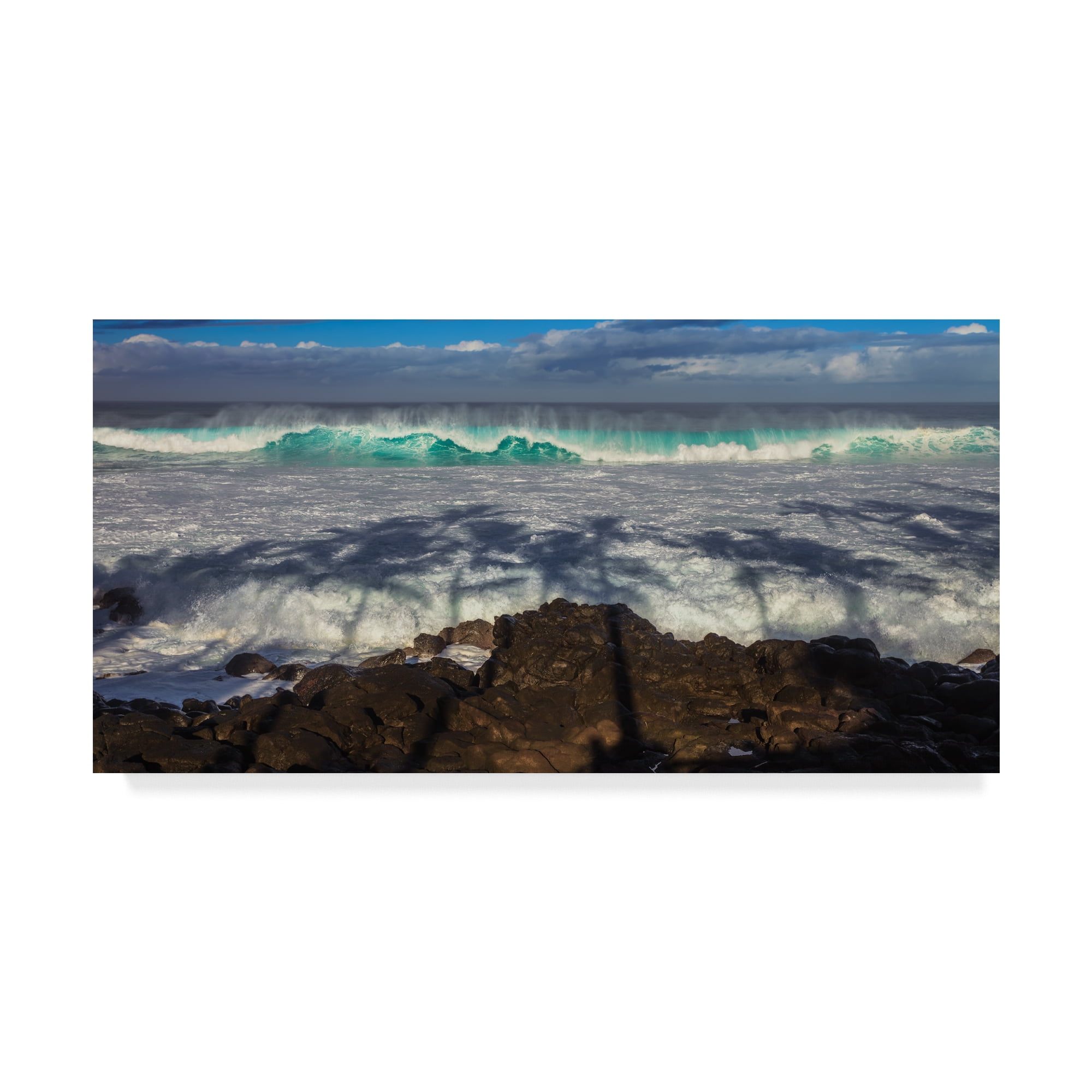 Trademark Fine Art 'Eddie Wave' Canvas Art by Jason Matias - Walmart.com