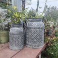 AOOOWER Decorative Pitcher Vases Flower Holders for Home Decoration ...