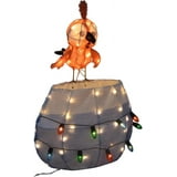 ProductWorks 28" Rudolph 3D LED Pre-Lit Bird that Swims Yard Art ...