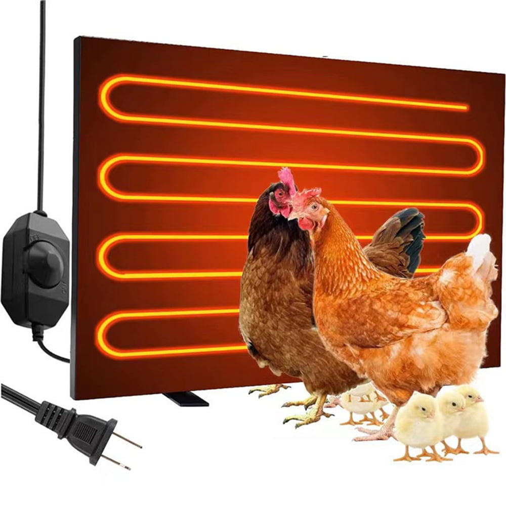 Coop Heater for Chicken Anti-Pecking And Durable Material for Chicken ...