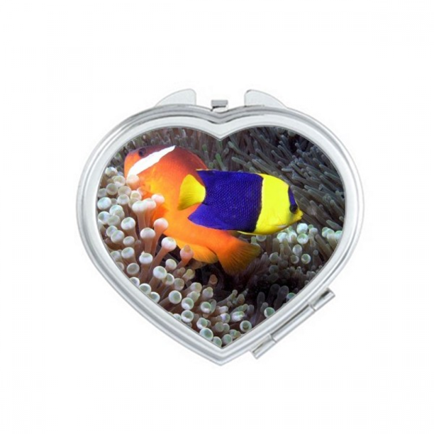 ocean anem fish nature picture mirror travel magnification portable ...