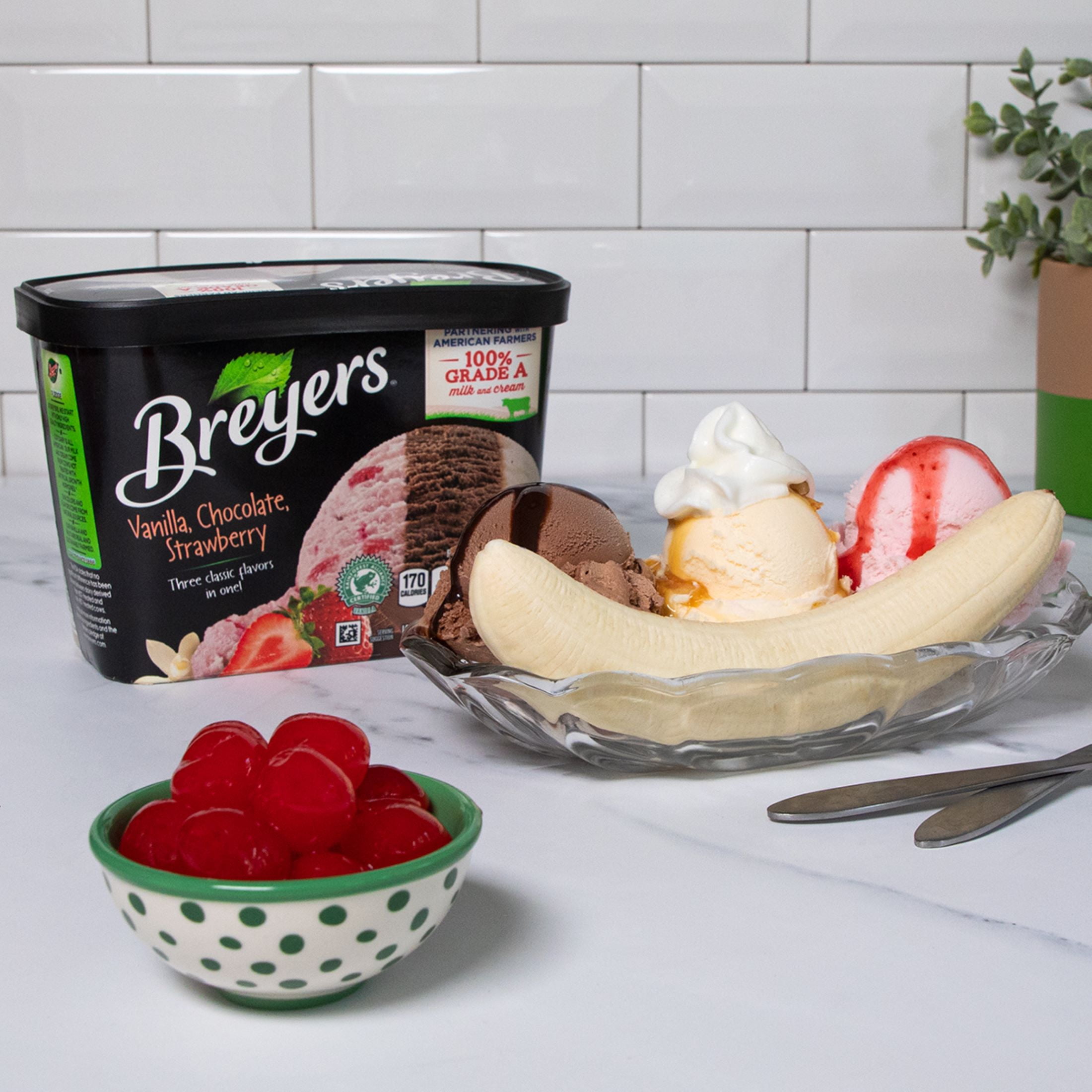 Breyers Vanilla Ice Cream