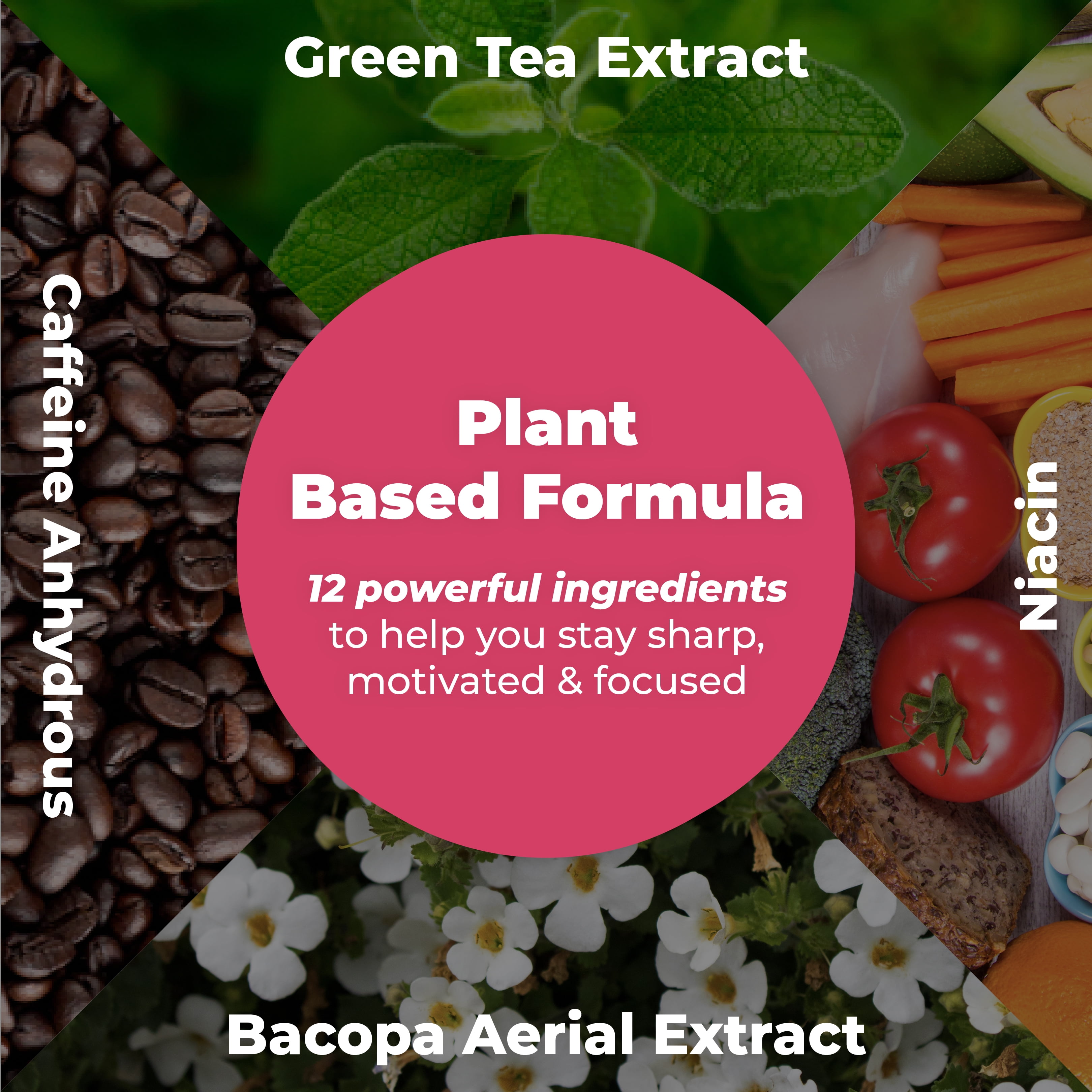 Buy Ageless Brain - Focus supplement & Brain Booster by PureHealth ...