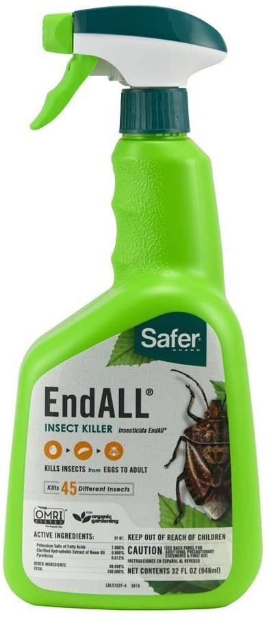 Safer Brand 5102 5102-6 Ready-to-Use End All Insect Killer-32 oz, 32 oz ...