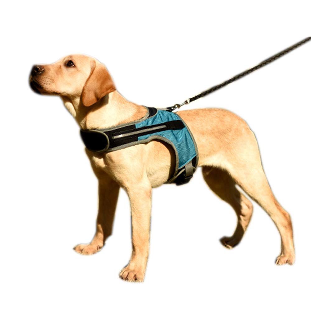 BT Bear Pet Harness Dog Harness Reflective Adjustable Vest Harness LED ...