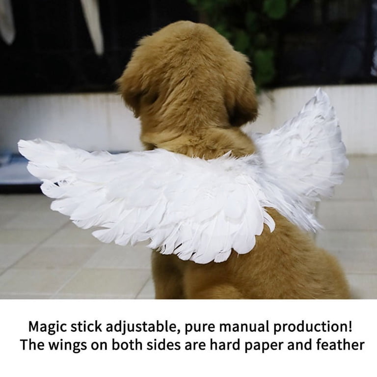 Anime Dogs With Wings
