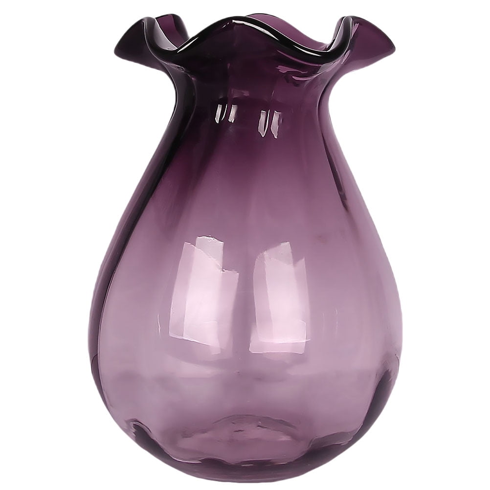 1Pc Pastoral Style Glass Vase Water Container Table Vase for Hydroponic ...