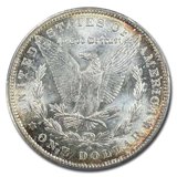 PCGS Certified 1903-O Morgan Dollar MS-64, Highly Collectible, New ...