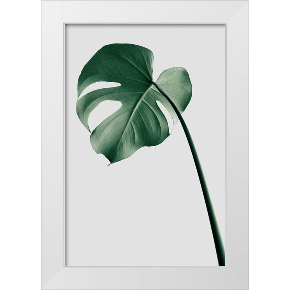 Artographie Studio 17x24 White Modern Wood Framed Museum Art Print ...